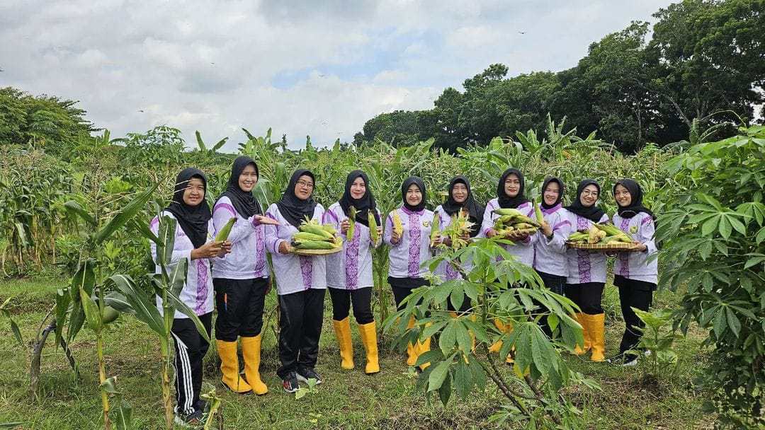 Satuan Pemeliharaan 55 Panen Jagung, Wujud Dukung Ketahanan Pangan ...
