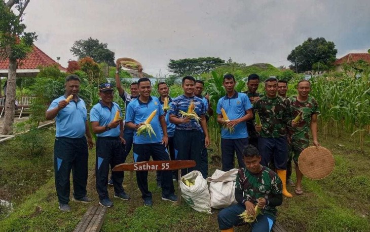 Satuan Pemeliharaan 55 Panen Jagung, Wujud Dukung Ketahanan Pangan ...