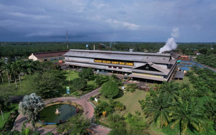 Melalui PalmCo, Holding Perkebunan Nusantara Perluas Akses Digital bagi ...